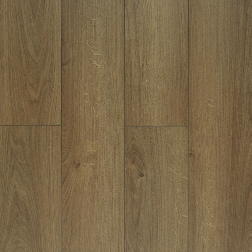 Oak Castoria - Weninger